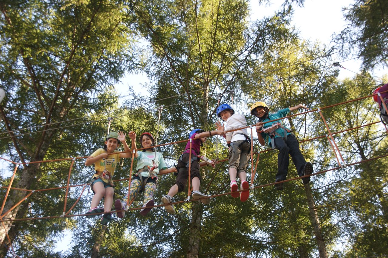 "What we Learn with Pleasure we Never Forget" — Alfred Mercier - BCCJ ...