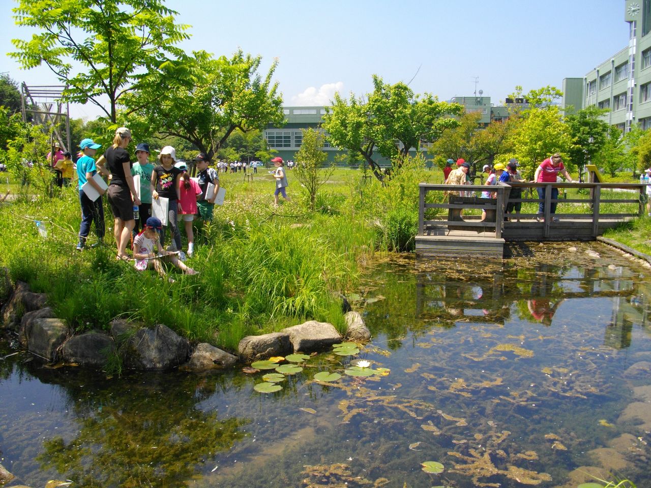 "What we Learn with Pleasure we Never Forget" — Alfred Mercier - BCCJ ...