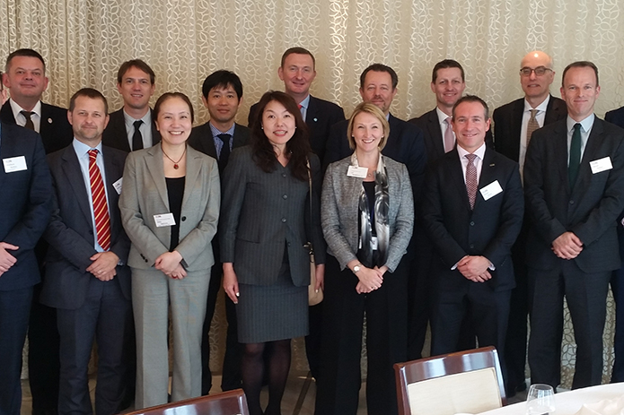 BCCJ Network - BCCJ Acumen