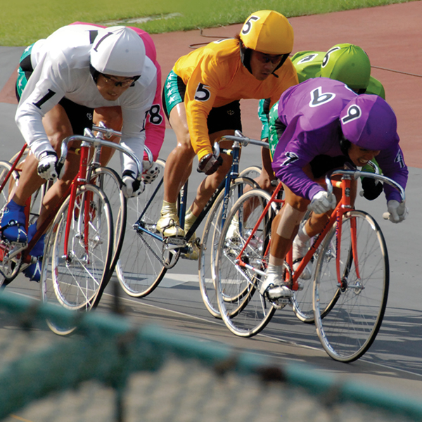 Boxing on bikes! - BCCJ Acumen